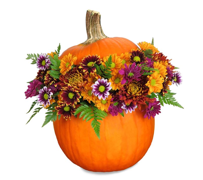 Pumpkin Pot - How-To Projects - Flower.Style Magazine